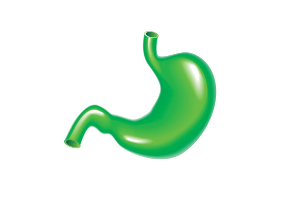 green_stomach – Association of Gastrointestinal Motility Disorders